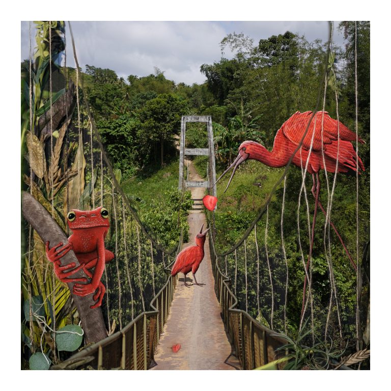 Print – ŽÁBA – Eliška P.